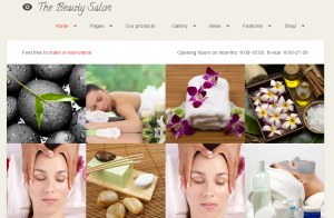 Top 5 Spa, Beauty, Nail Salon, Hair Stylist WordPress themes