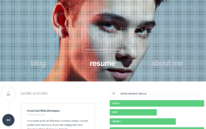 Top 5 Online Resume, CV, vCard, Biography WordPress themes