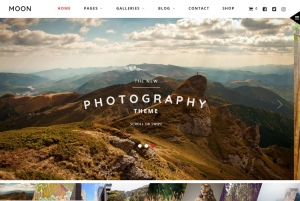 Top 5 Horizontal Scroll, Side Scrolling WordPress Themes