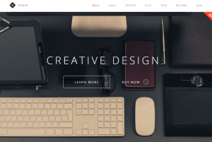 Top 5 One Page Parallax Scrolling Portfolio HTML5 Templates
