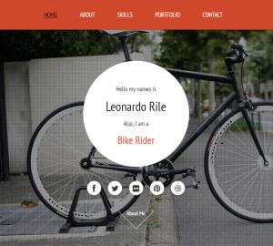 Top 5 Personal Profile, Portfolio Website HTML5 Templates