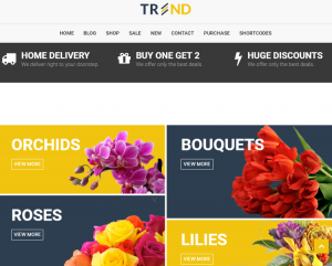 Top 5 Ecwid Compatible, Store, Ecommerce WordPress Themes
