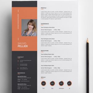 Top 10 Professional Resume and Perfect CV Templates for Jobs